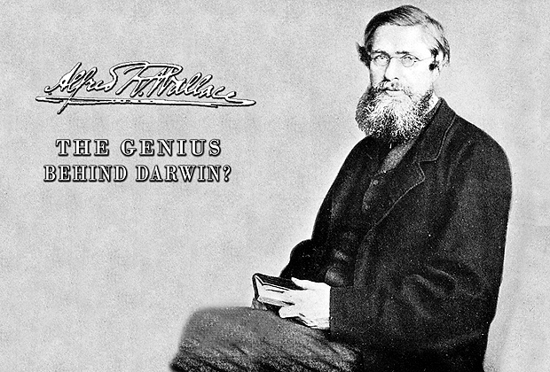 Wallace - Giant in Darwin's shadow - Atlantis-Film English Site